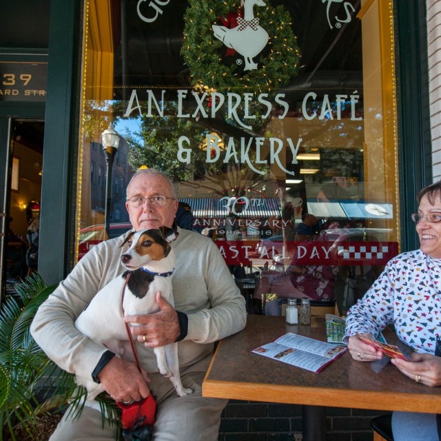 Dog-Friendly Savannah | VisitSavannah.com